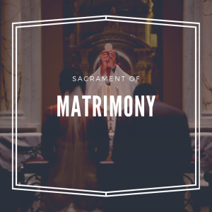 Sacraments of Service | Evangelization and Catechesis